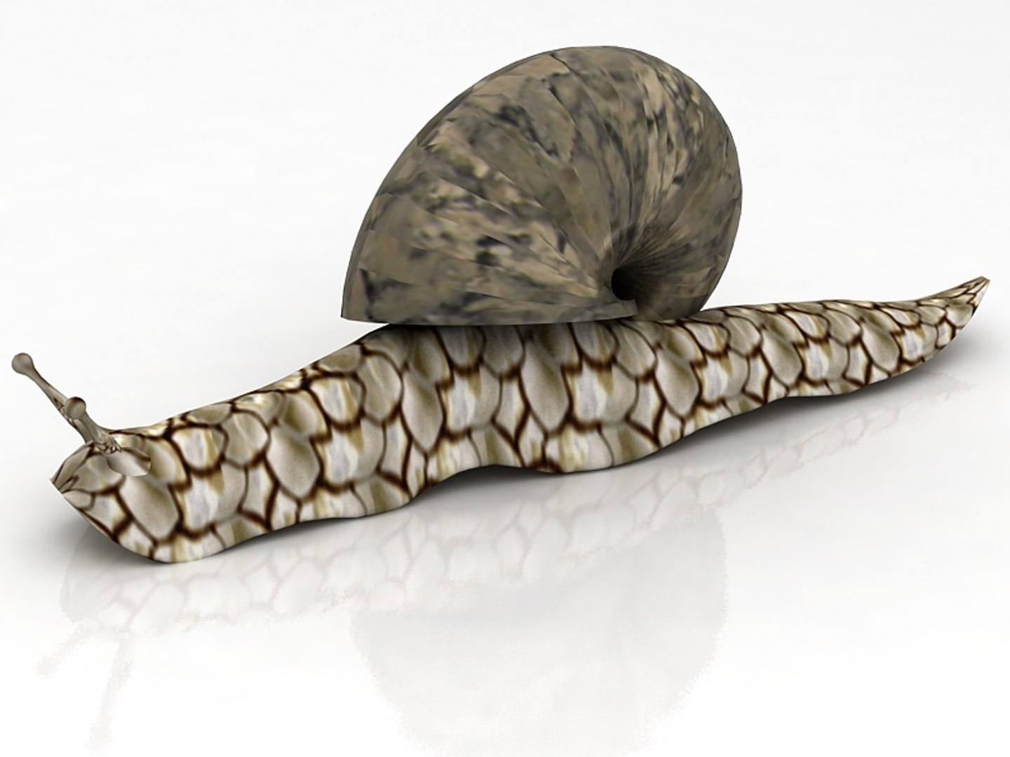 Snail 3D model - TurboSquid 1759372