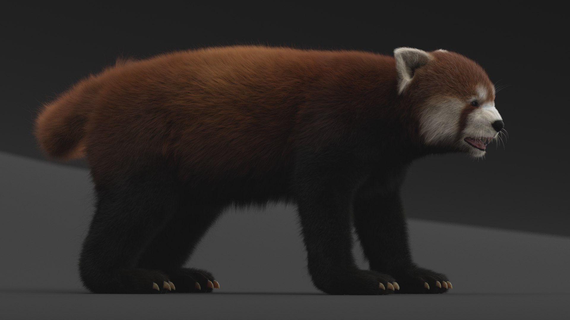 3D Red Panda Rigged - TurboSquid 1559425