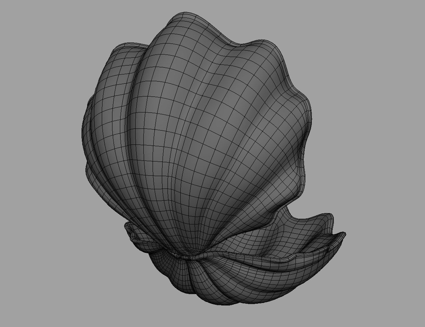 Cartoon Shell 3d Model