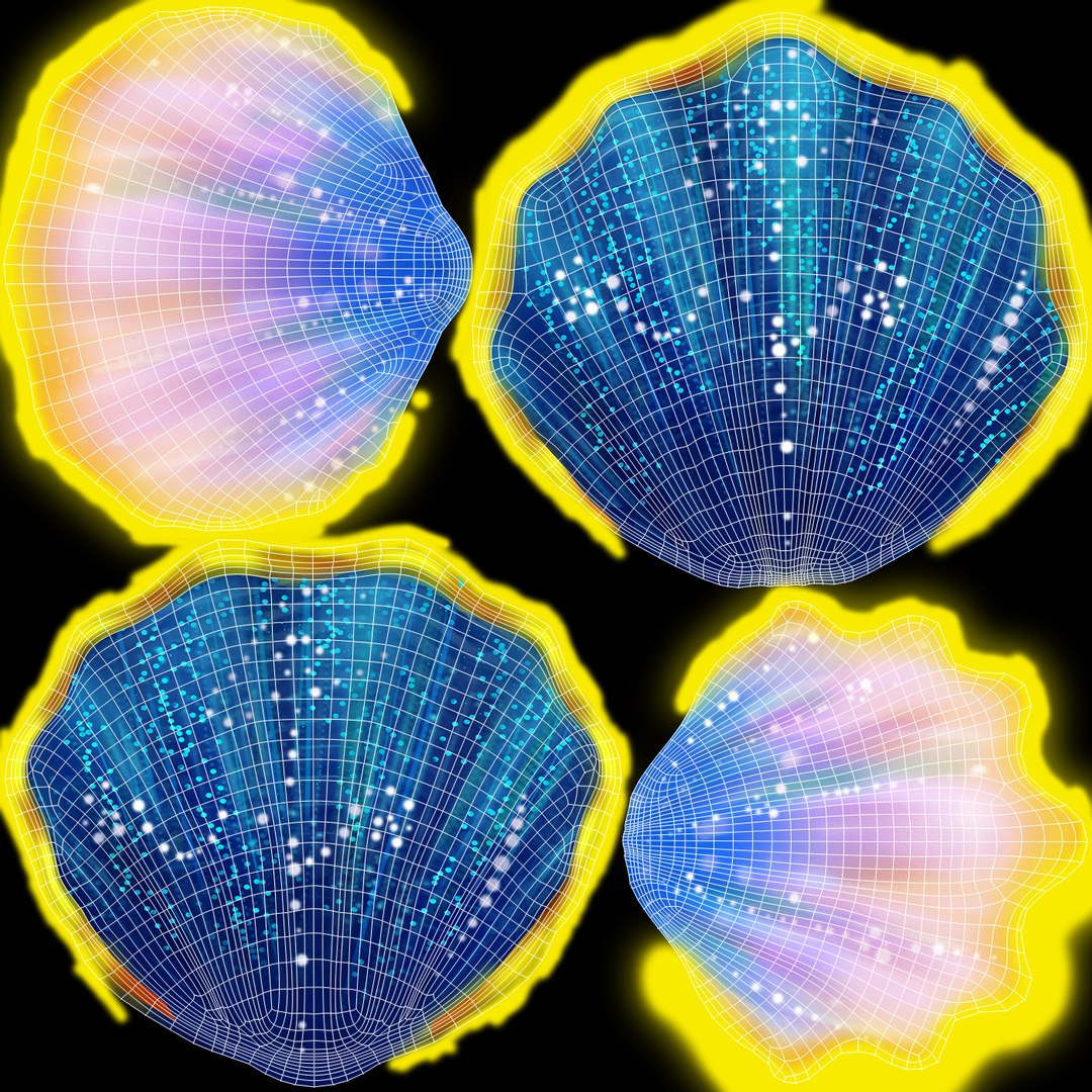 Cartoon Shell 3d Model