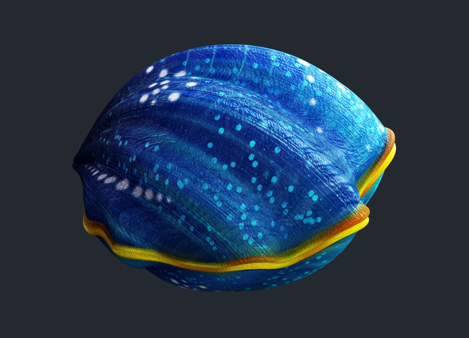 Cartoon Shell 3d Model