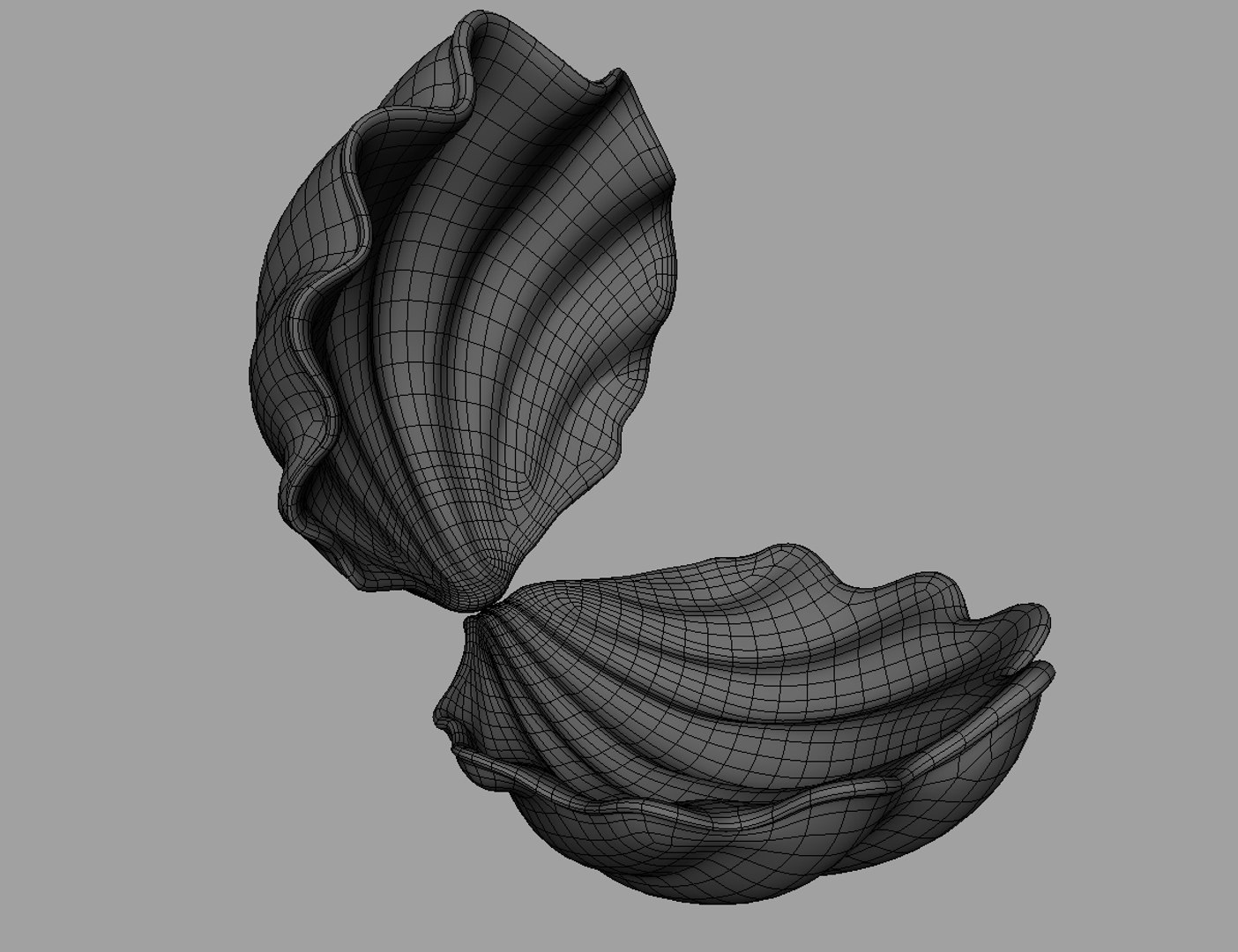 Cartoon Shell 3d Model