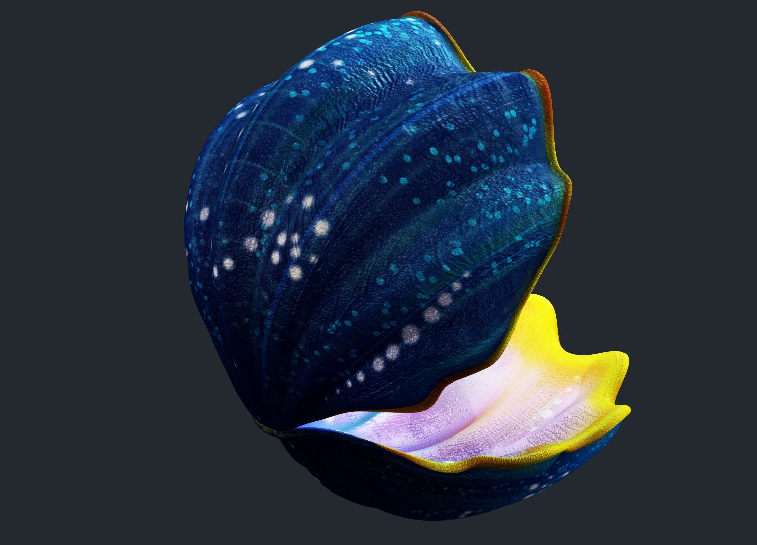 Cartoon Shell 3d Model