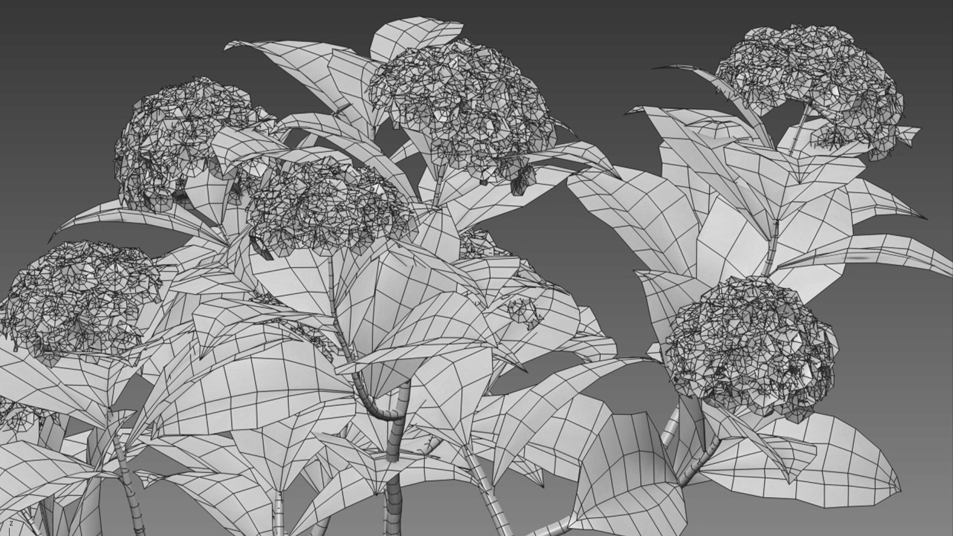 Hydrangea 02 Model - TurboSquid 1835114
