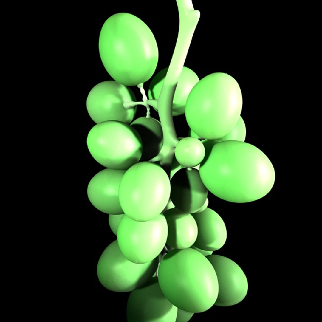 3d Grapes Model