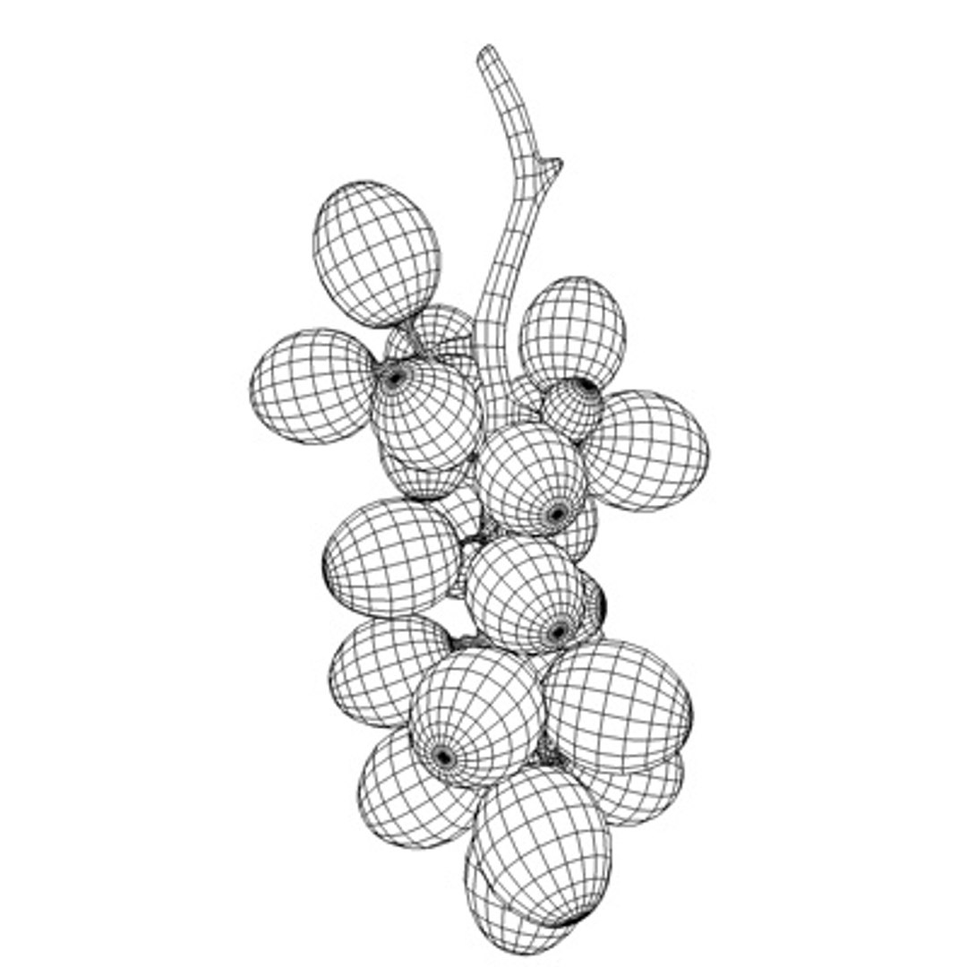 3d Grapes Model