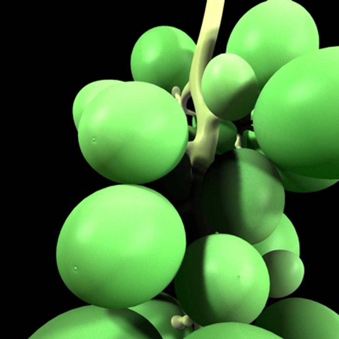 3d Grapes Model