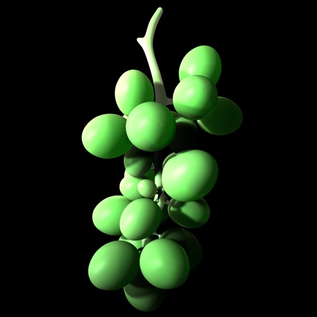 3d Grapes Model