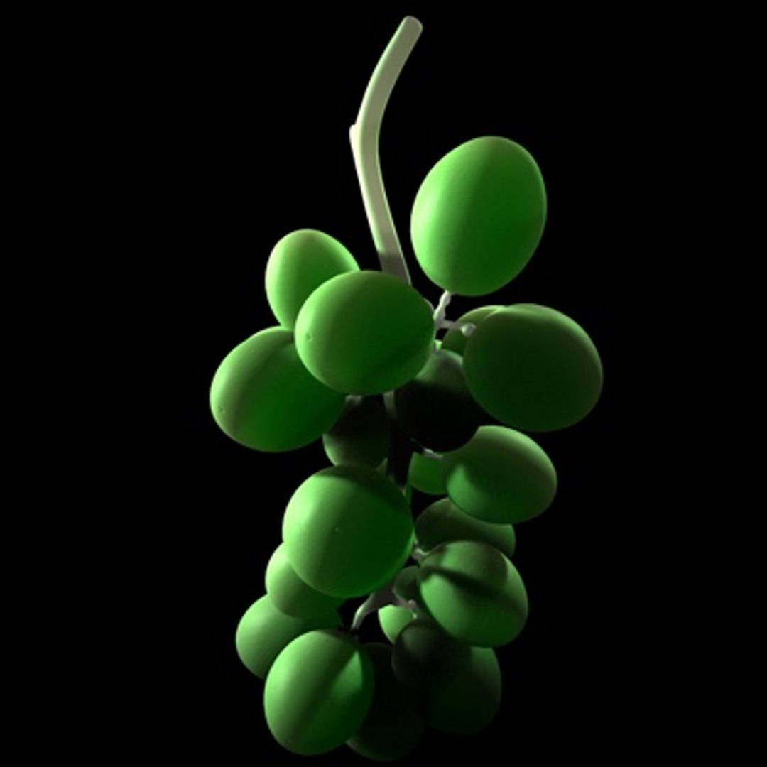 3d Grapes Model