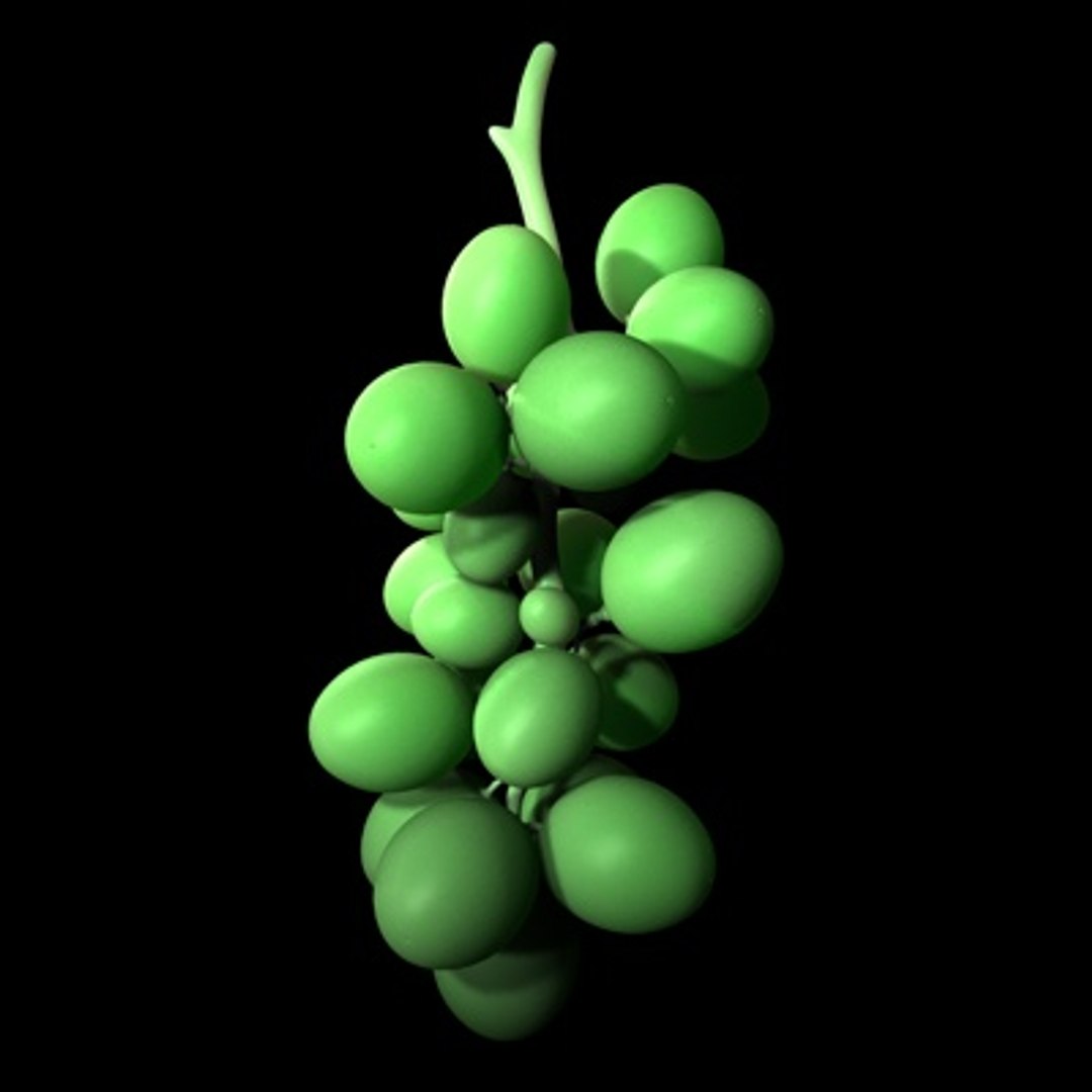 3d Grapes Model