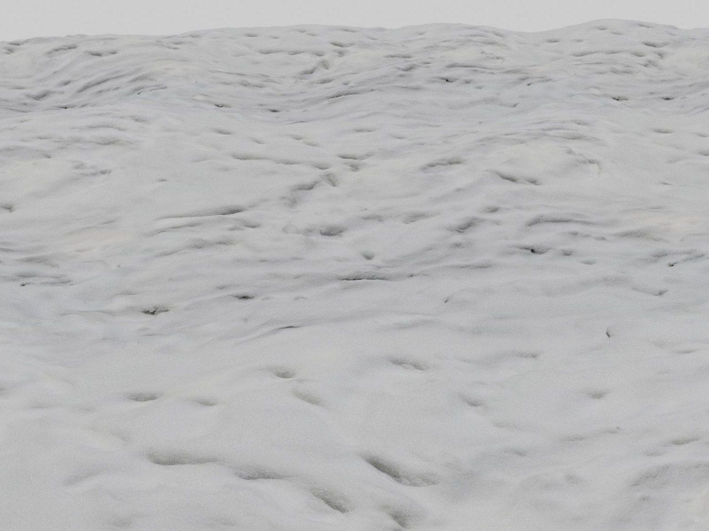 Snow Ground Forest Scan 3D Model - TurboSquid 1262898