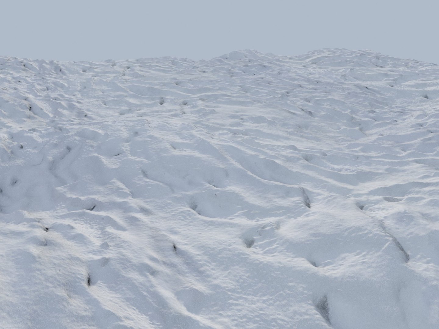 Snow Ground Forest Scan 3D Model - TurboSquid 1262898
