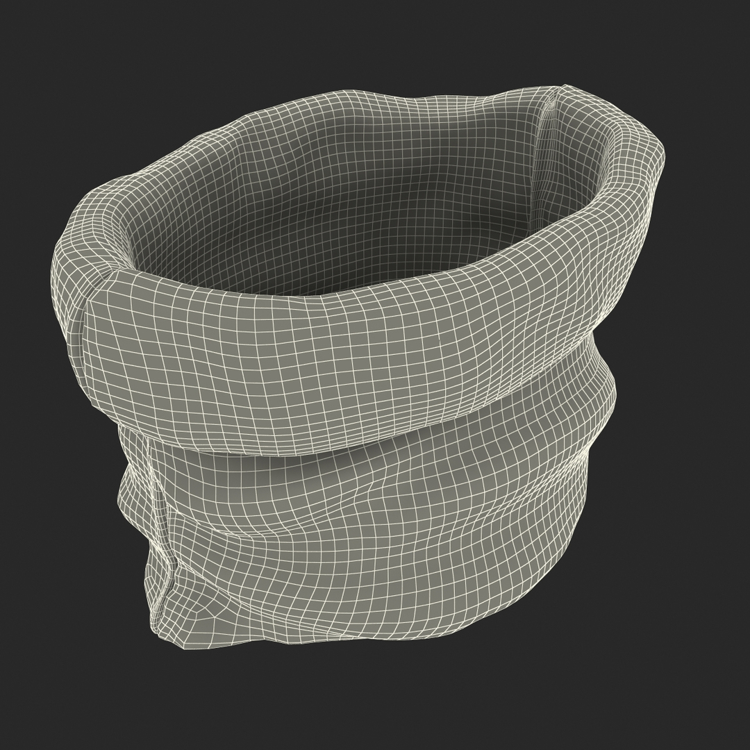 Sack 3d Model