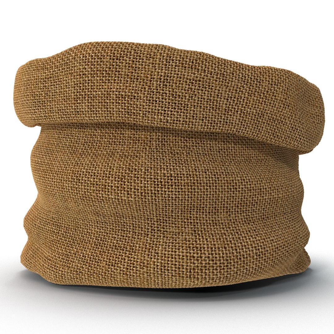 Sack 3d Model