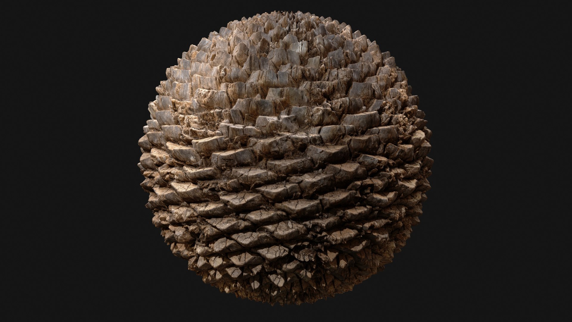 Date Palm PBR Tiled Texture 8K 3D Model - TurboSquid 2313256