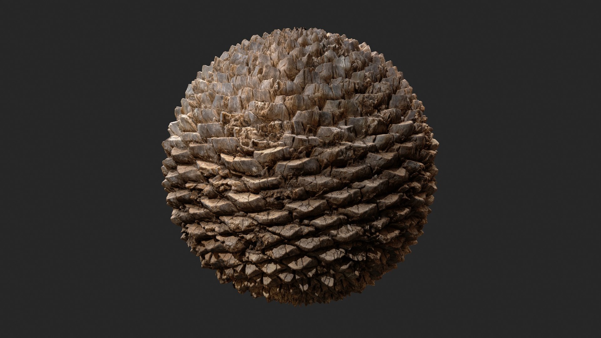Date Palm PBR Tiled Texture 8K 3D Model - TurboSquid 2313256
