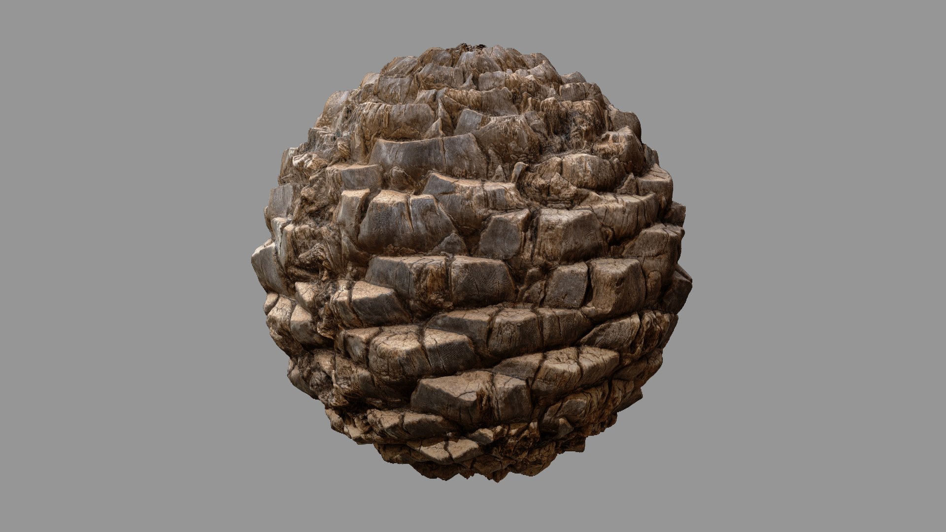 Date Palm PBR Tiled Texture 8K 3D Model - TurboSquid 2313256
