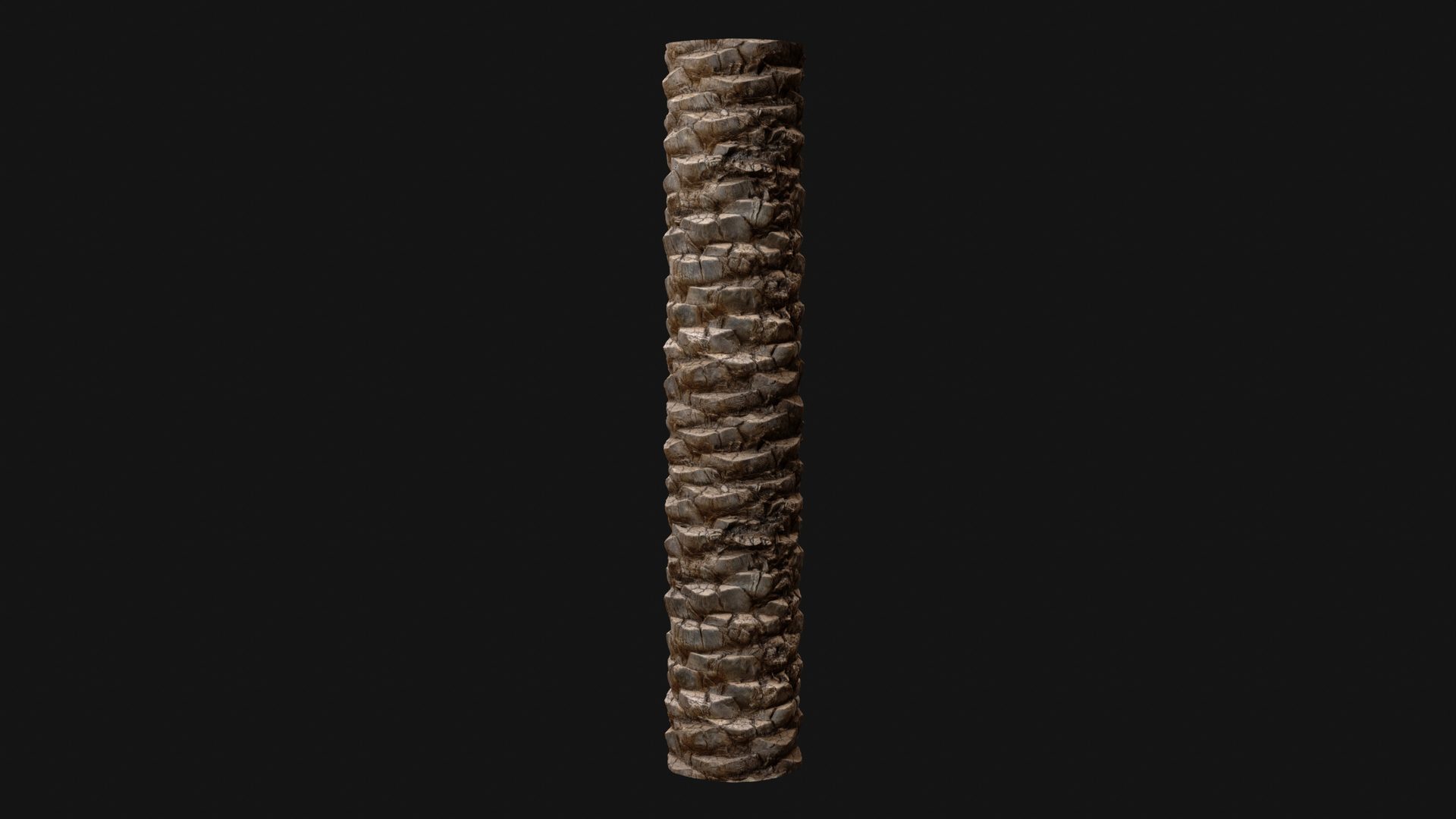 Date Palm PBR Tiled Texture 8K 3D Model - TurboSquid 2313256