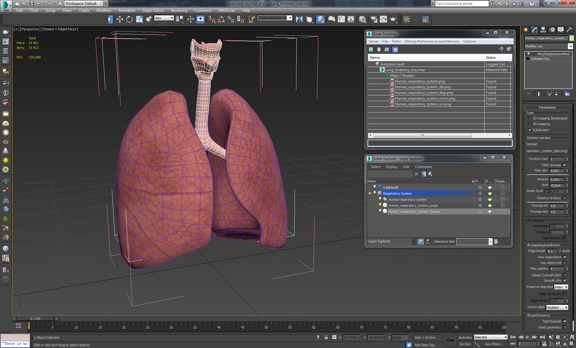 3D model lung anatomy - TurboSquid 1214480