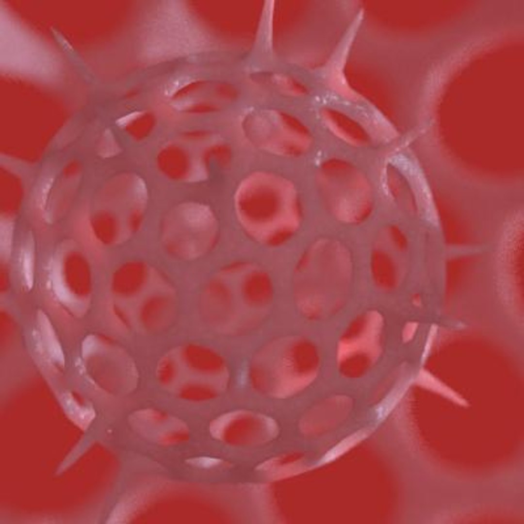 Radiolarians Organically Protist 3d Model