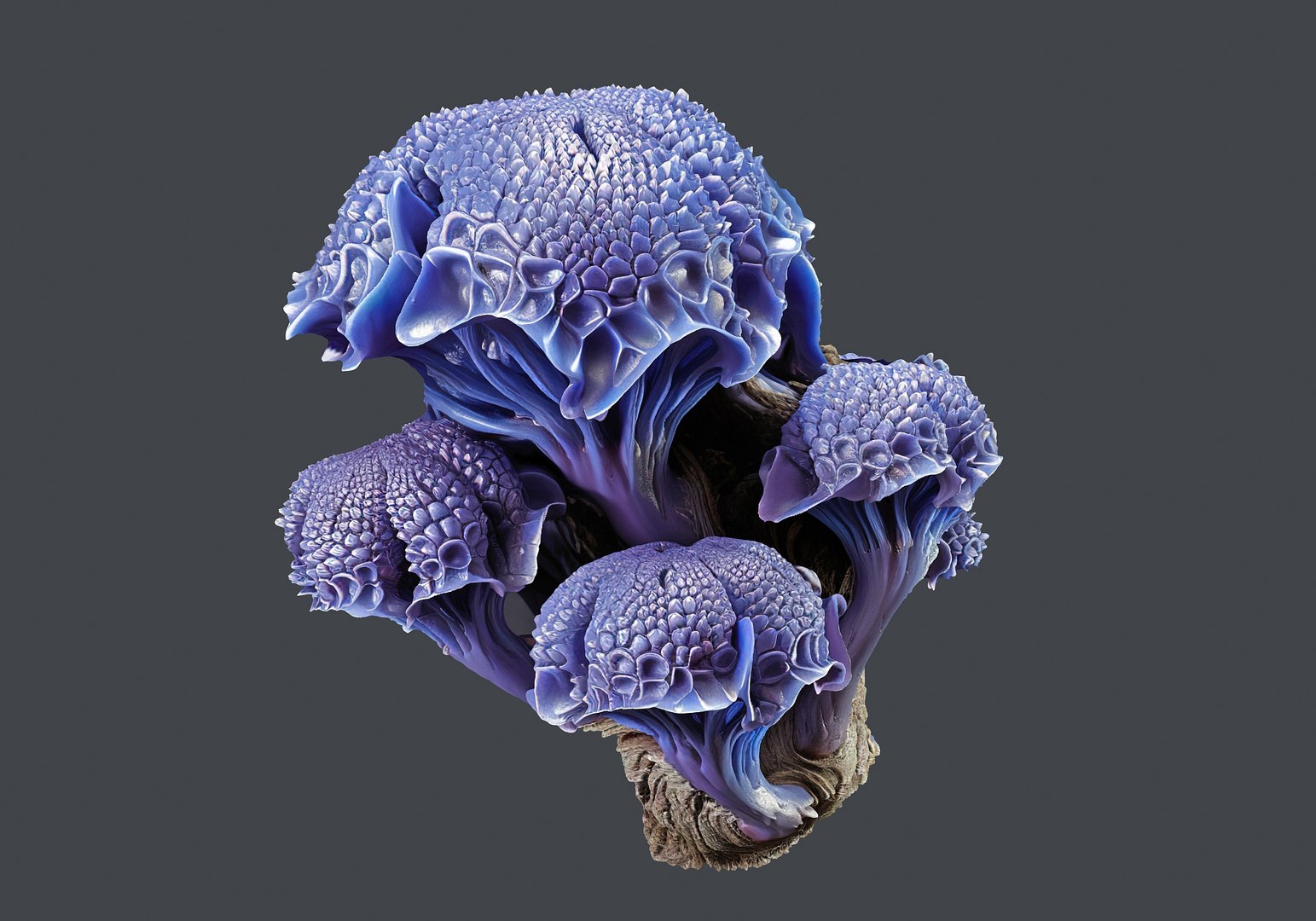 Alien Fruit Pack 9 3D Model - TurboSquid 2092286