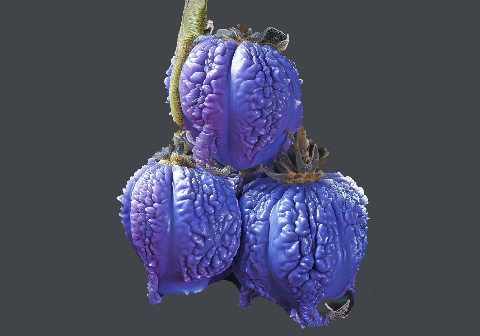 Alien Fruit Pack 9 3D Model - TurboSquid 2092286