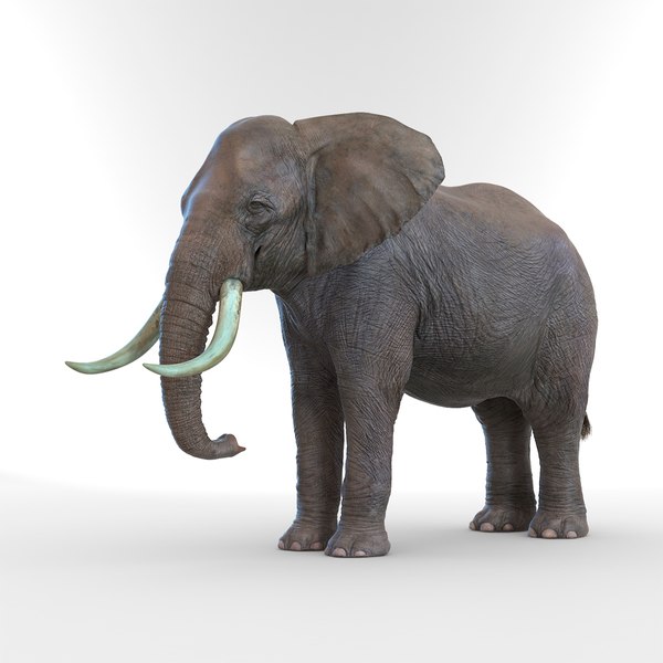 elephants set 3d model