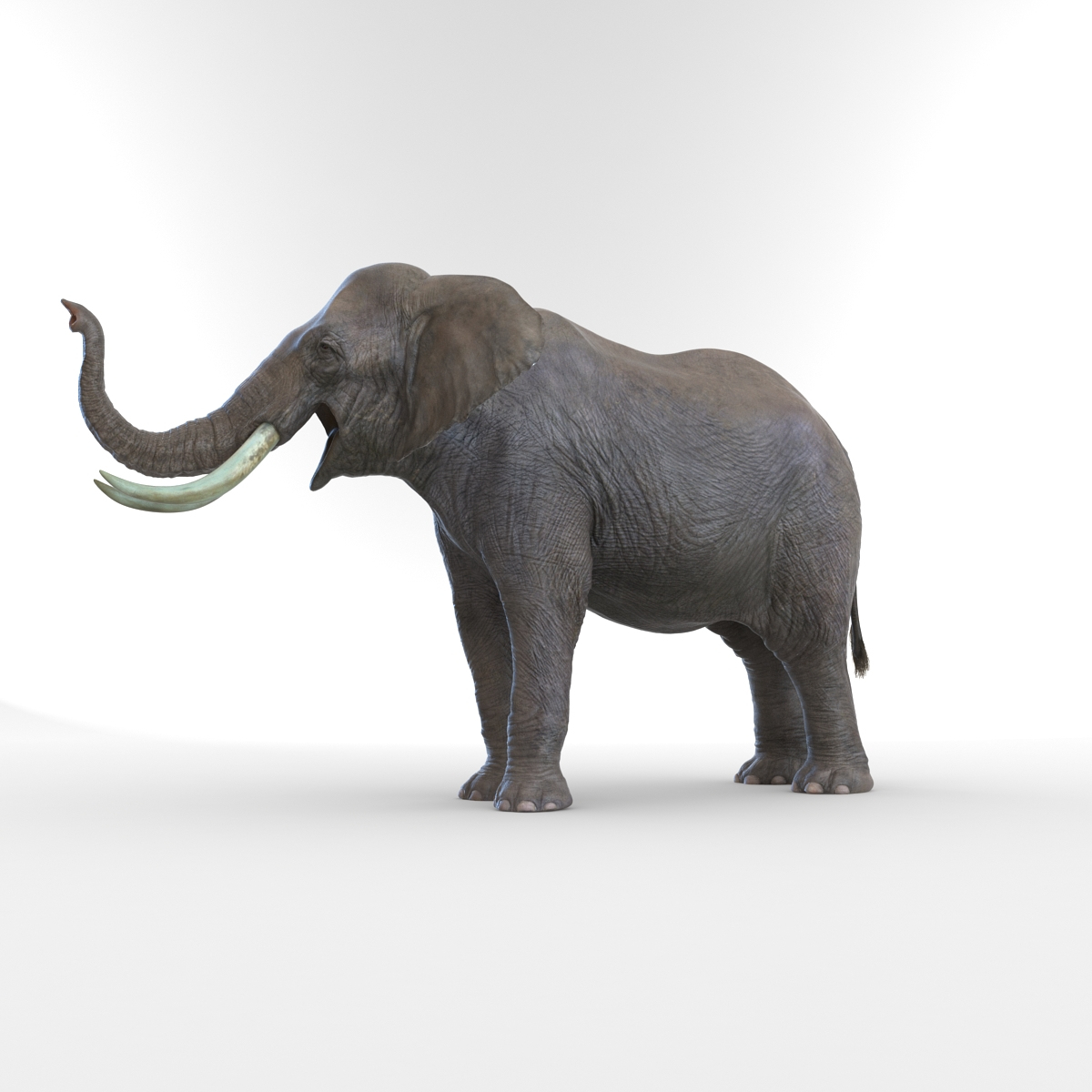 elephants set 3d model