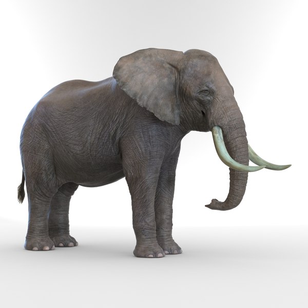 elephants set 3d model