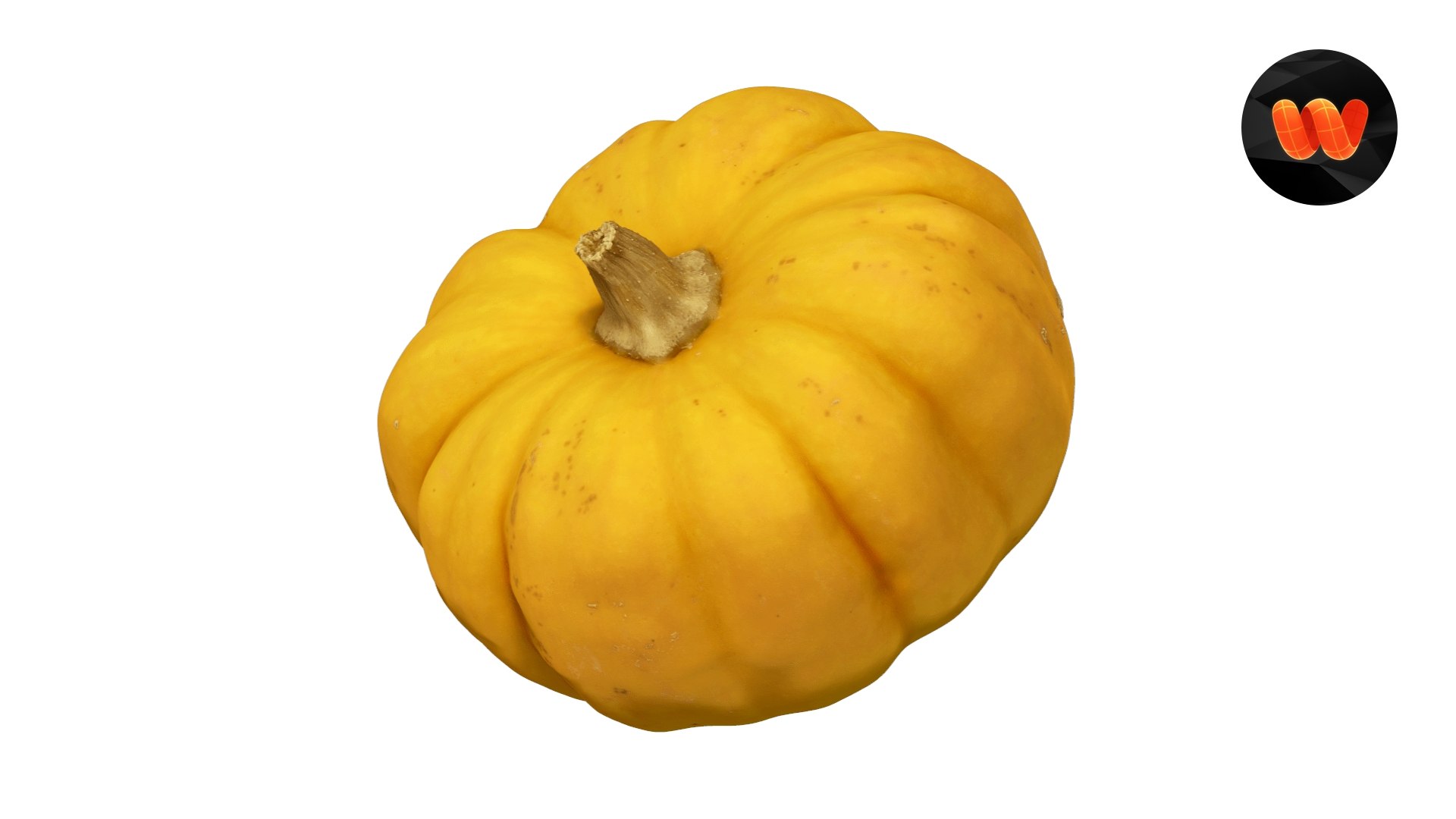 3D Mini Pumpkin - Extreme Definition 3D Scanned model - TurboSquid 1733835