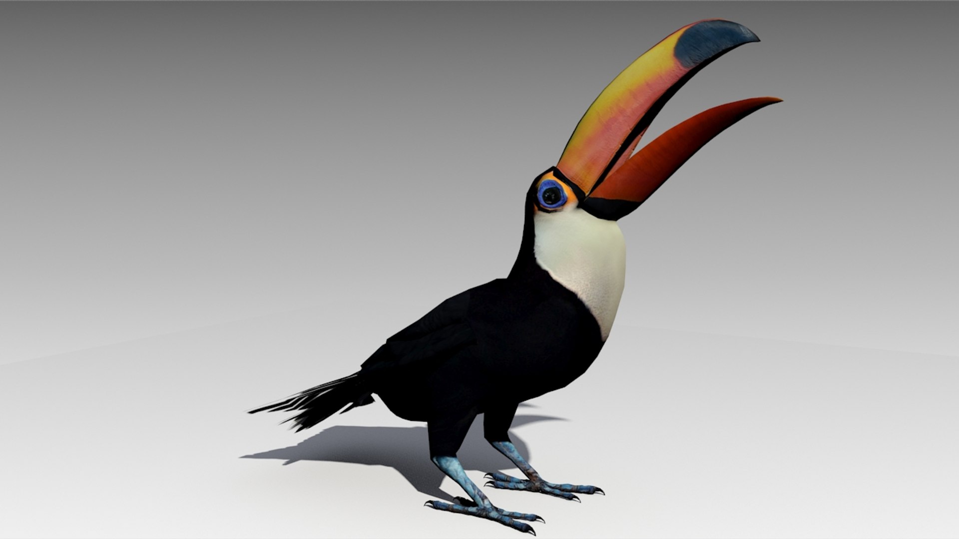 Toucan Animations 3D Model - TurboSquid 1159378