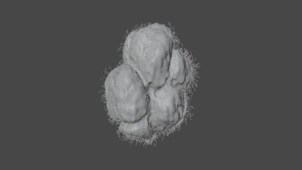 Free 3D weed bud - TurboSquid 1492240
