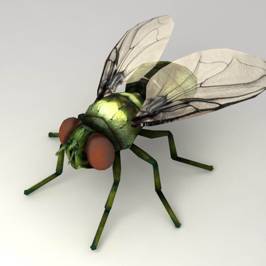 3d Fly Rigged Biped