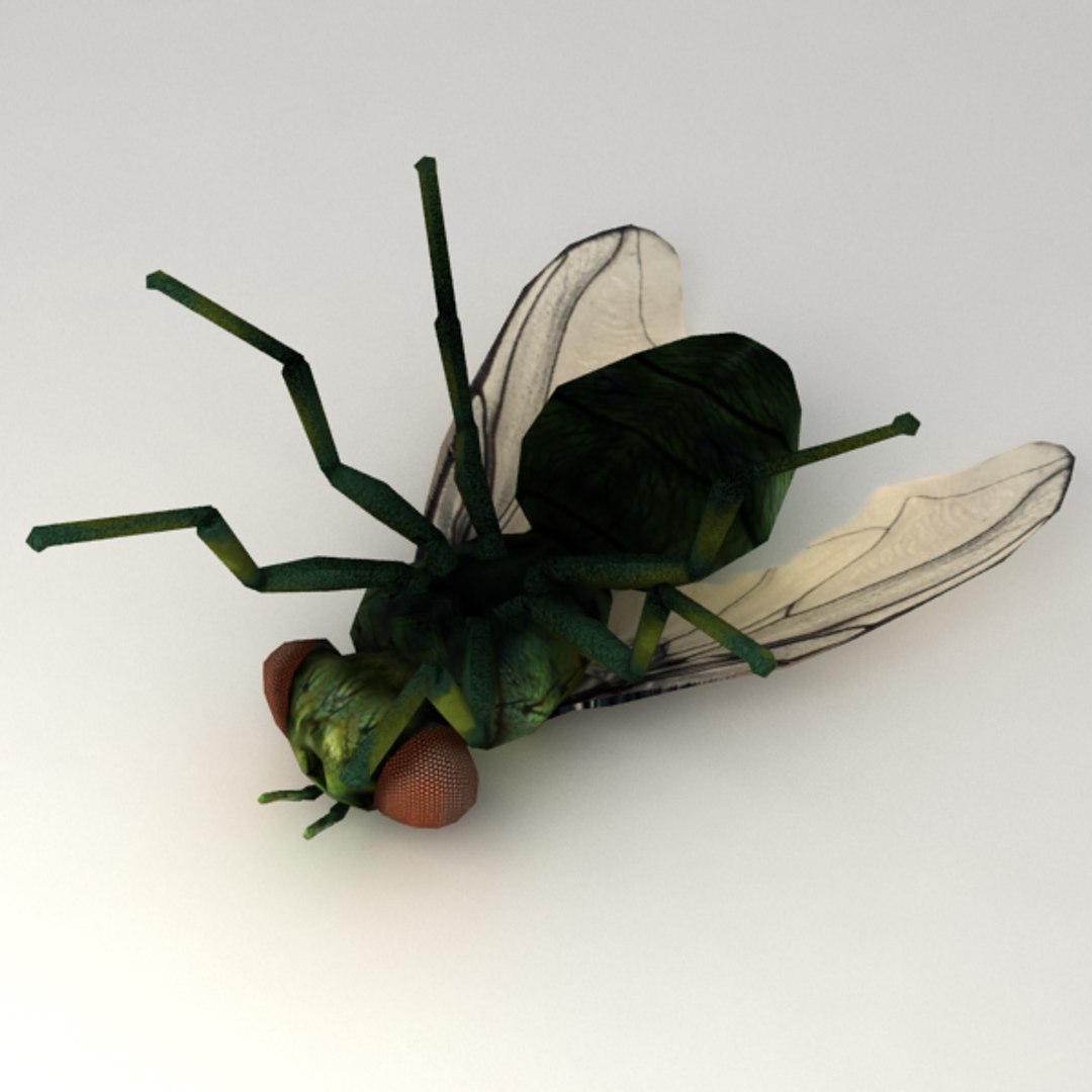 3d Fly Rigged Biped