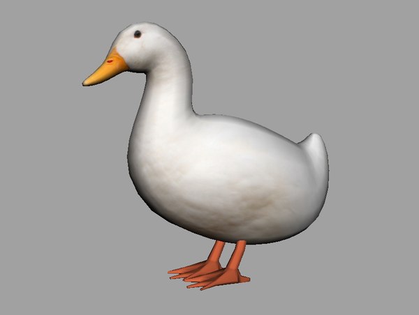 Animated Duck 3D Models for Download | TurboSquid
