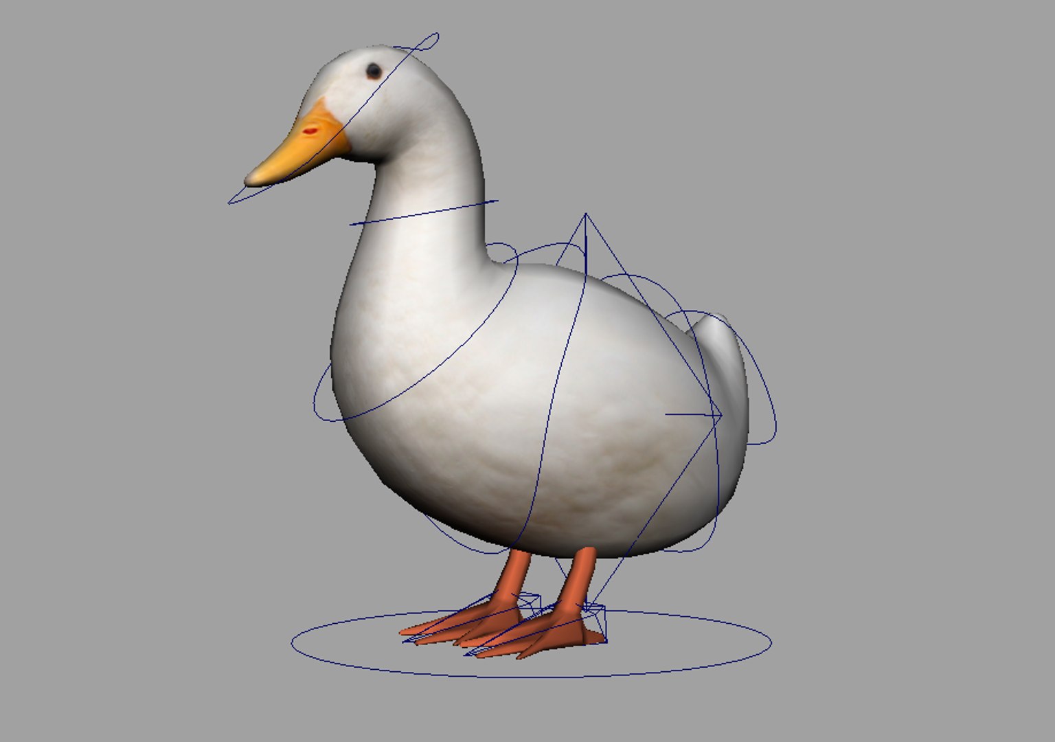Duck Rigged Fbx