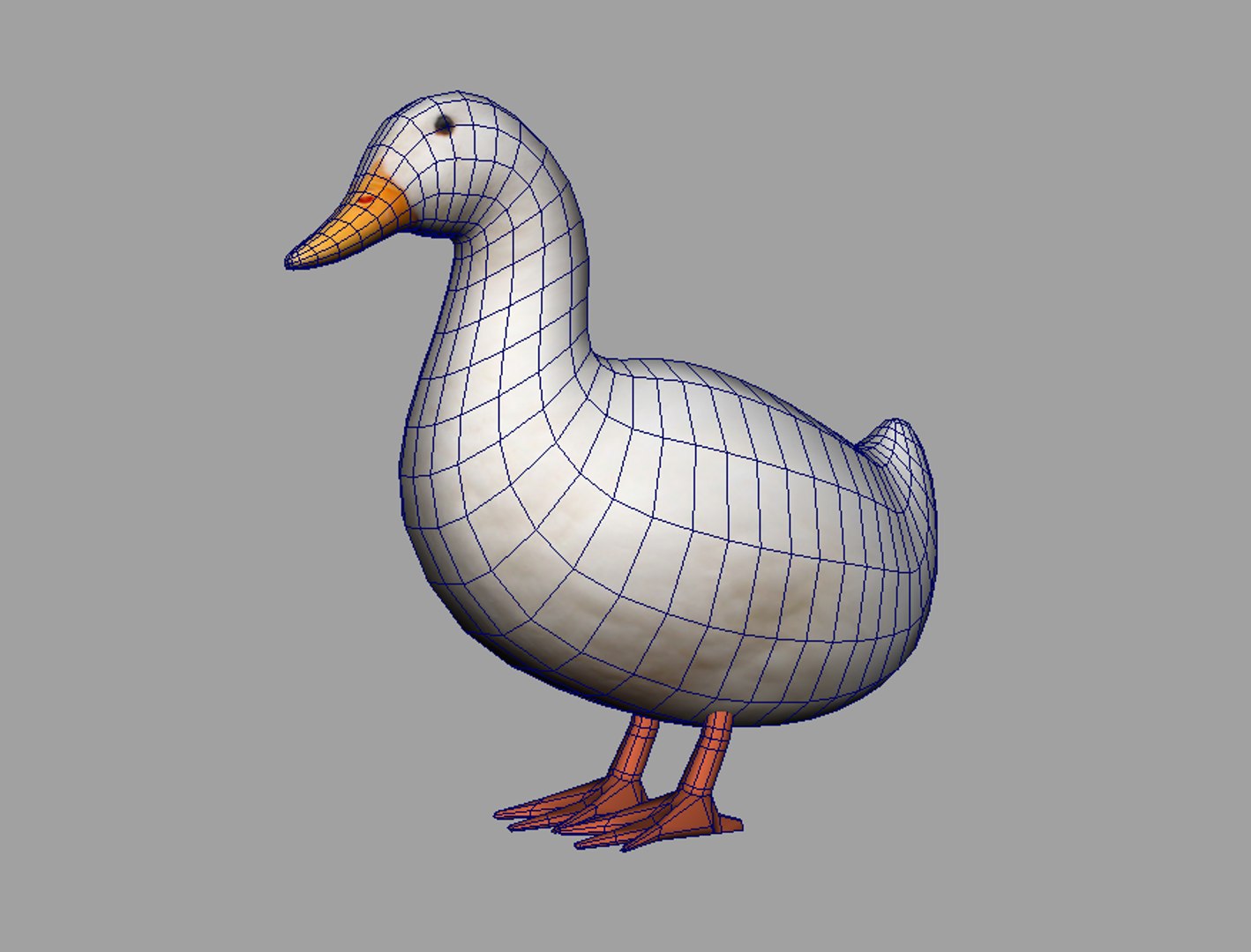 Duck Rigged Fbx