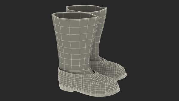 3D Warm Rustic Felt Boots With Transparent Galoshes Fur - TurboSquid ...