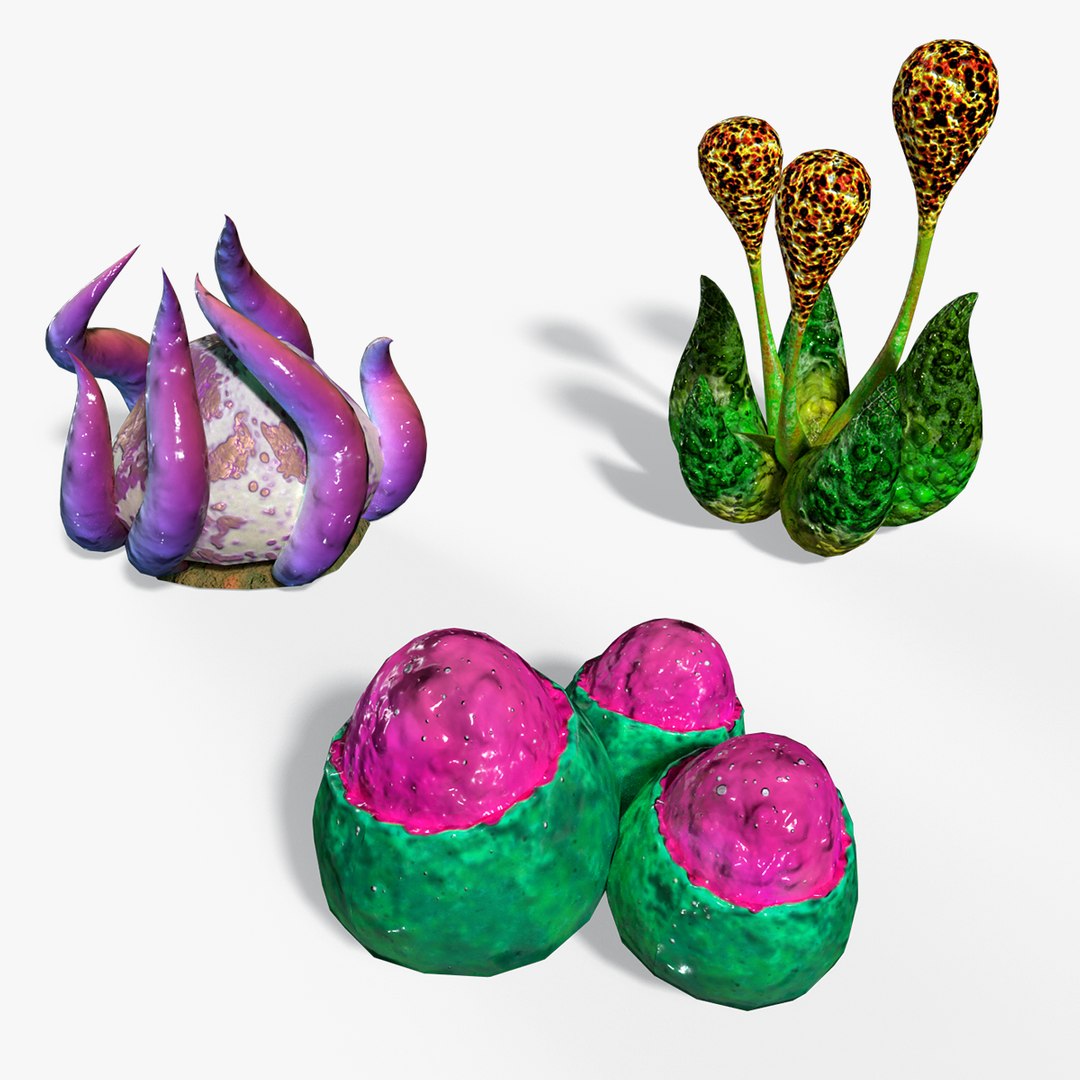 3D Model Plants Fantastic - TurboSquid 1593805
