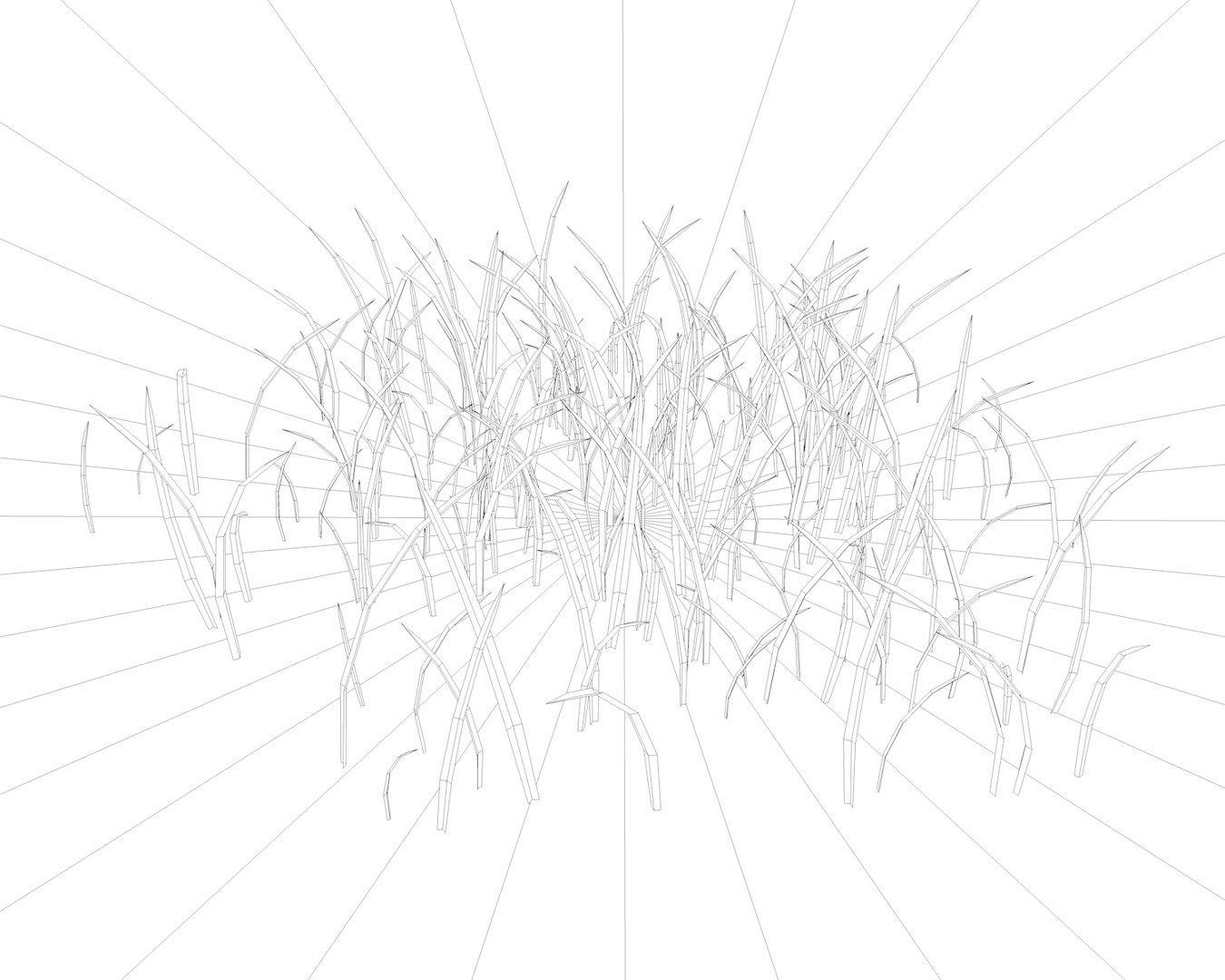 Grass Types Model - TurboSquid 1478723