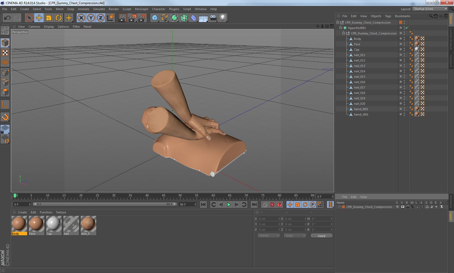Chest Compressions Cpr Dummy 3D Model - TurboSquid 1332736