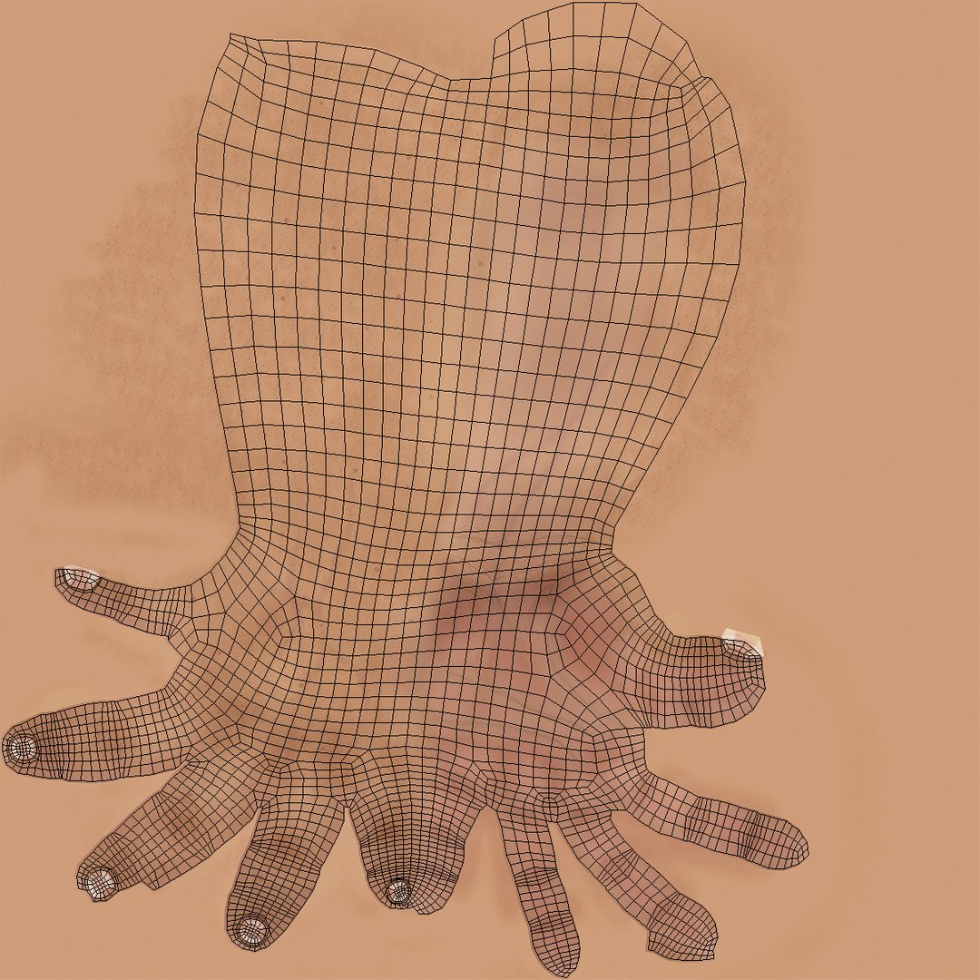 Chest Compressions Cpr Dummy 3D Model - TurboSquid 1332736