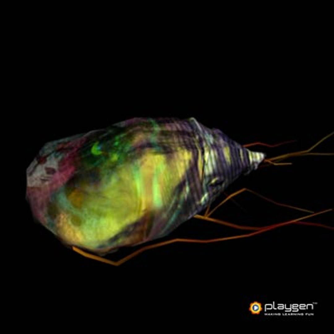 giardia lamblia bacteria 3d max