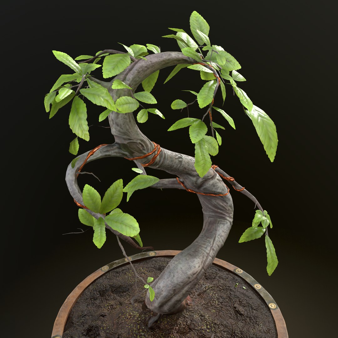 3D model bonsai tree pbr - TurboSquid 1612784