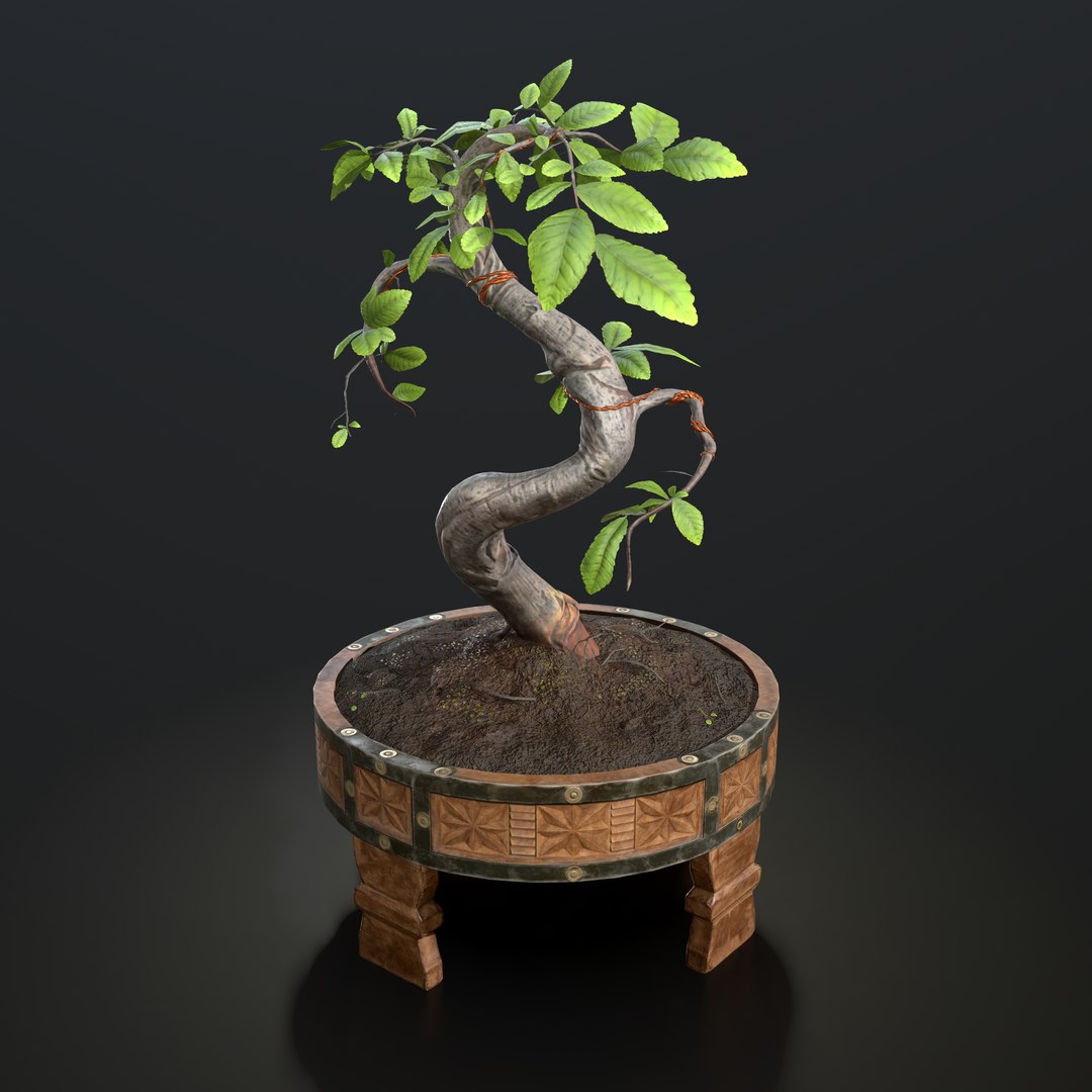 3D model bonsai tree pbr - TurboSquid 1612784