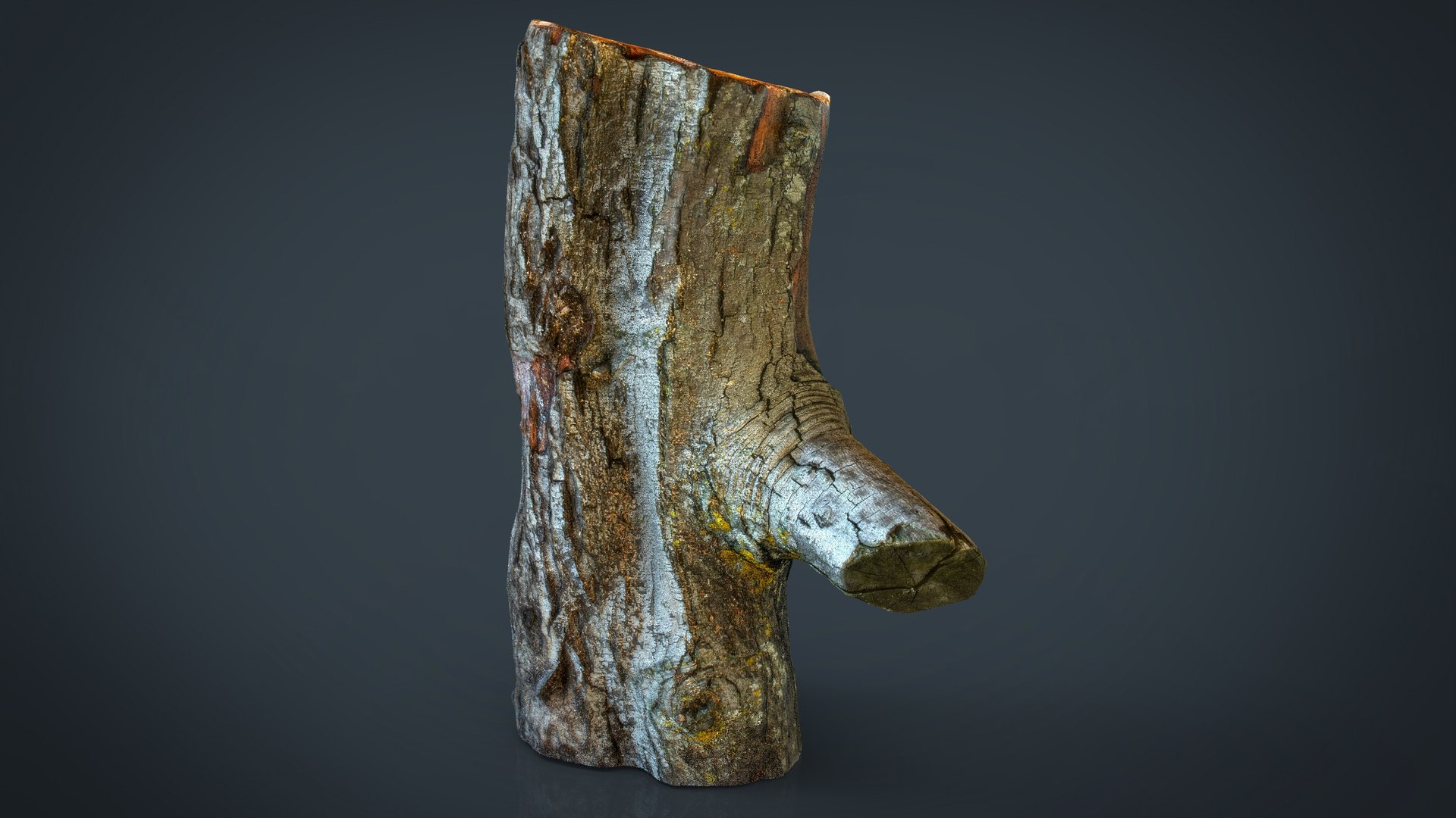 Realistic Wood Log Fbx