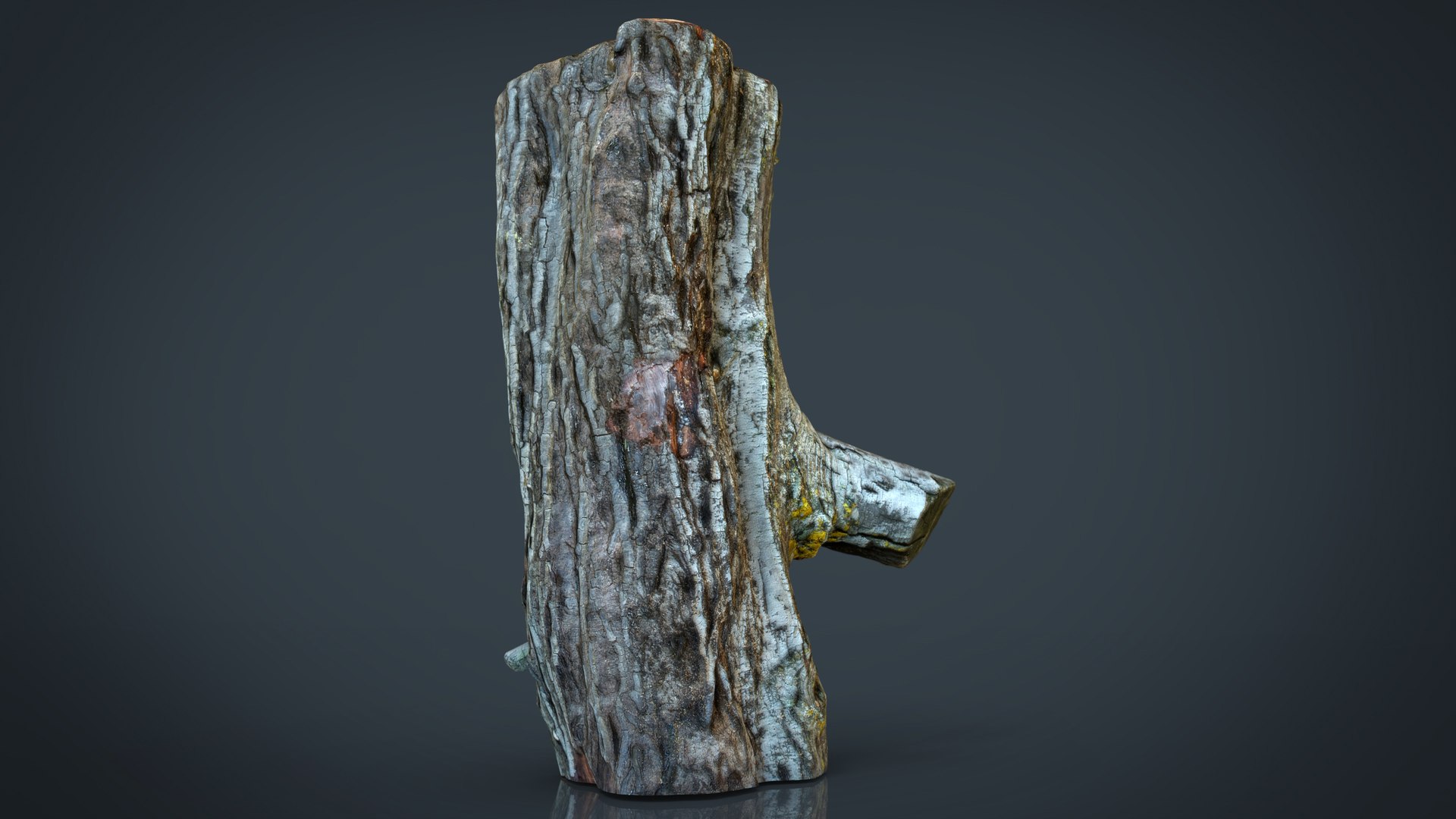 Realistic Wood Log Fbx