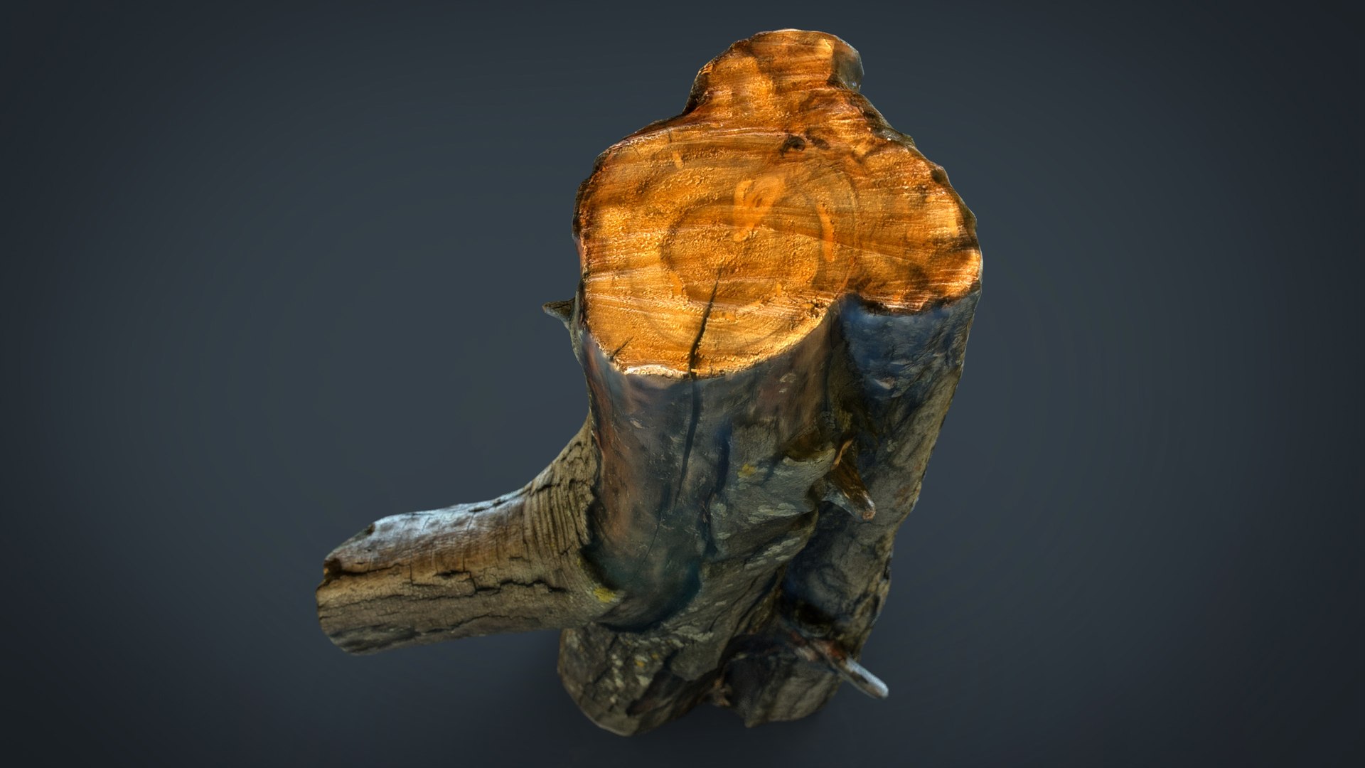 Realistic Wood Log Fbx