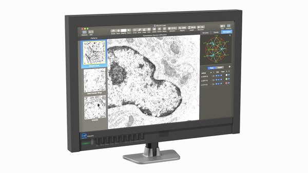 3D модель Монитор электронного микроскопа - TurboSquid 1874695