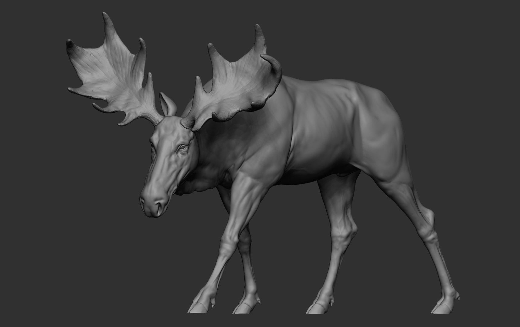 3D Moose Model - TurboSquid 2398993